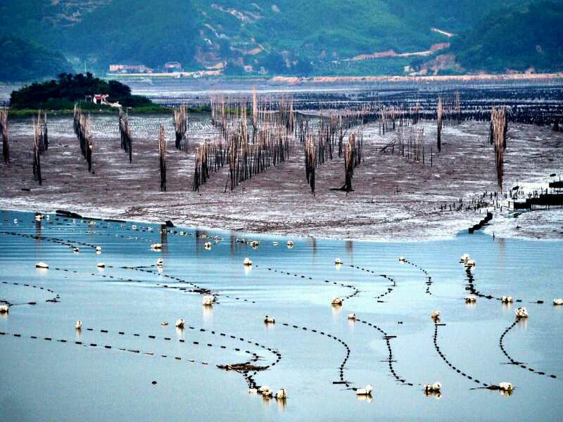 Xiapu Photo, Fujian Photo Tours,China Tours